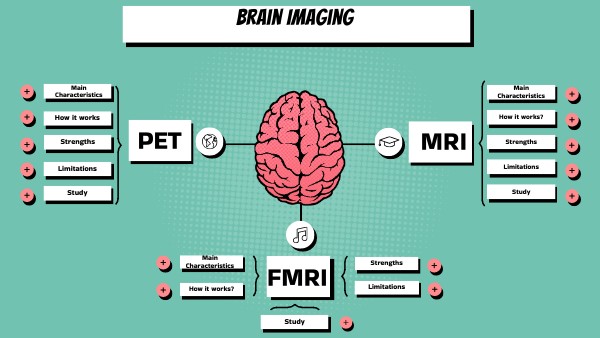 Brain Mindmap