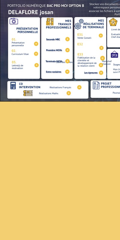 Portfolio - Bac pro MCV | Genially