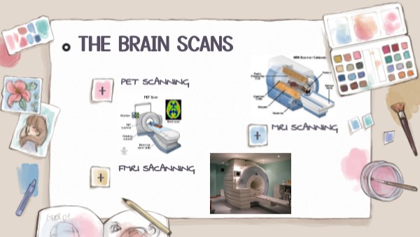 Brain Imaging Techniques | Genially
