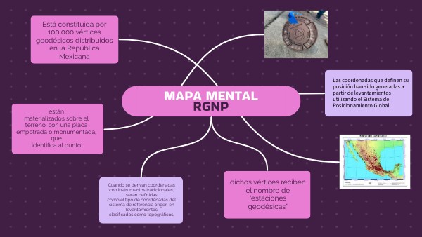 Mapa Mental De RGNA Y RGNP
