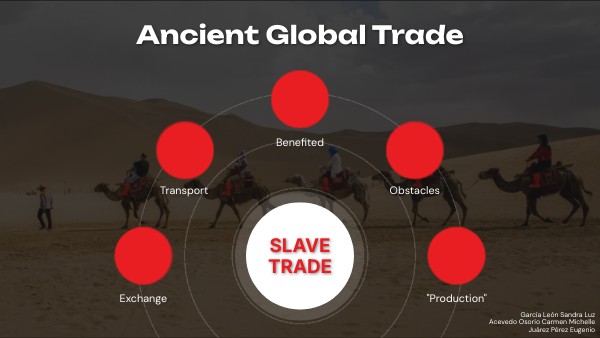 Infografía Conectores Akihabara