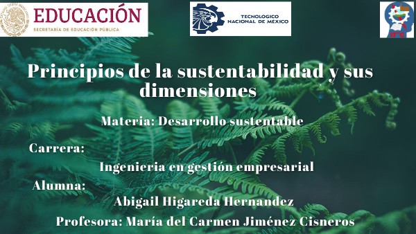 Principios y dimensiones de la sustentabilidad | Genially