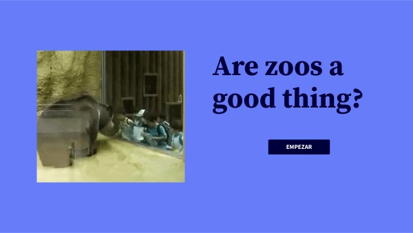 Zoos Reading Comprehension