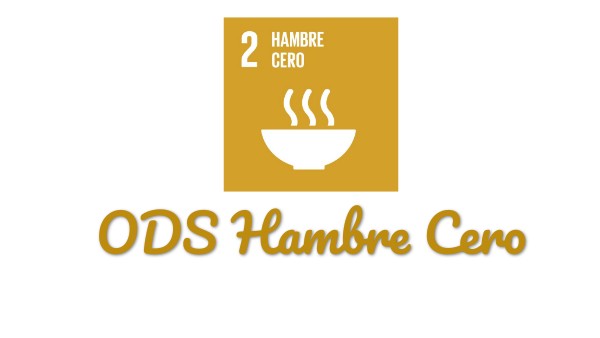 Ods Hambre Cero
