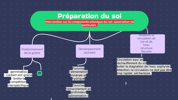 Copie - Vertical Mind Map