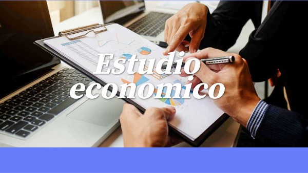 Estudio economico
