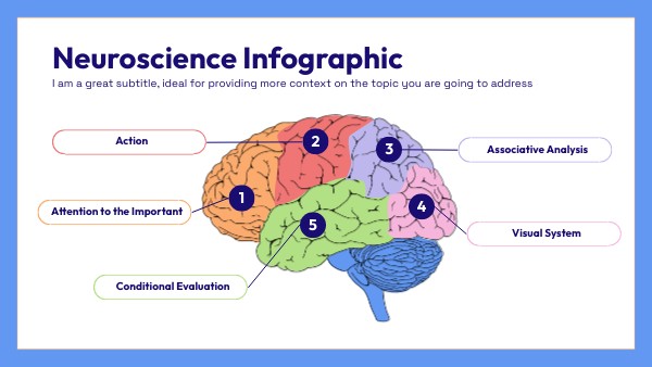 Neuroscience Infographic
