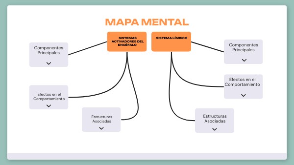 Mapa Mental Esquema Central