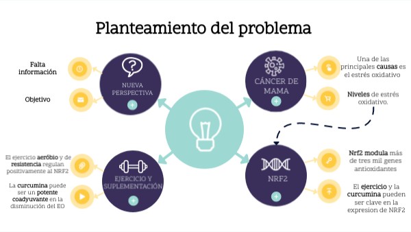 Mapa conceptual - planteamiento del problema