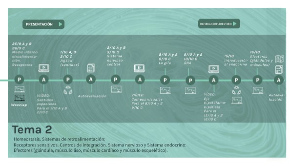 Tema 2 24-25 | Genially