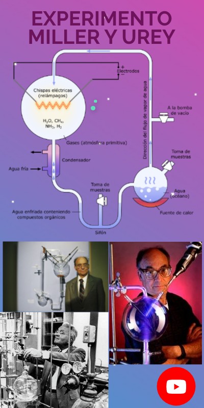 Infografía ( Experimento Miller y Urey) | Genially