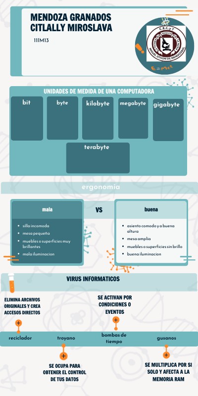 Infografia de unidades de medida de una computadora,ergonomia,virus