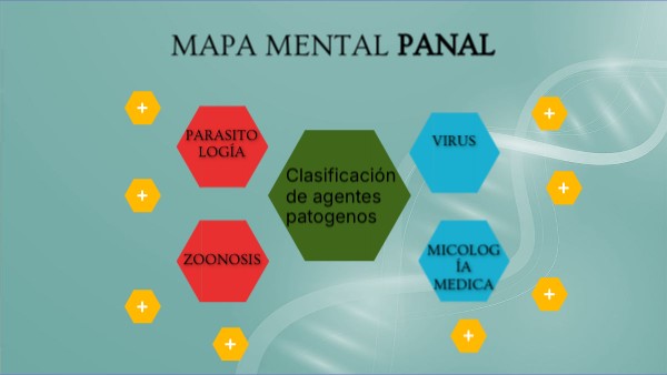 Mapa Mental Panal | Genially