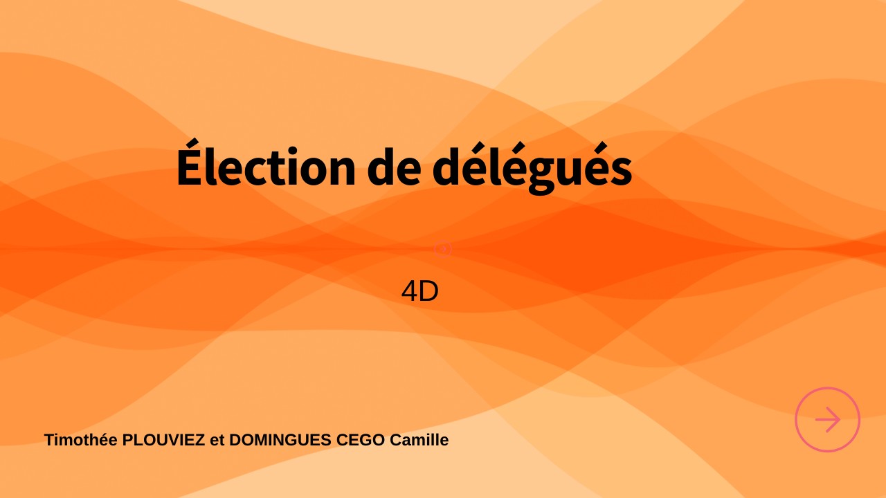 Élection délégués 4D.pptx