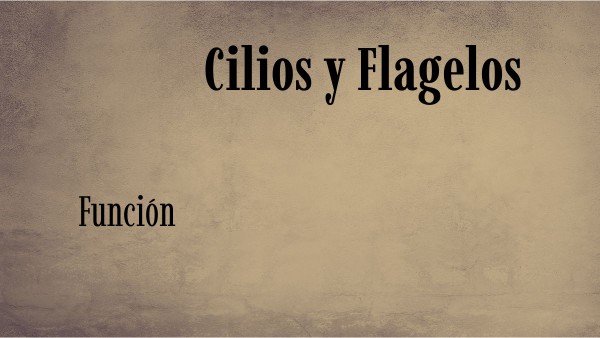 Cilios y Flagelos
