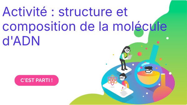 structure et composition de l'ADN