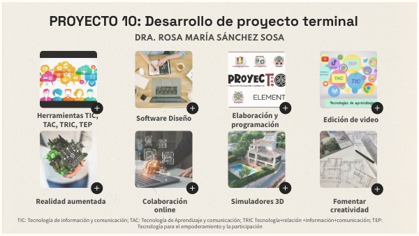 PROYECTO 10: DESARROLLO DE PROYECTO TERMINAL