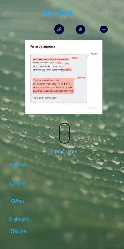 La lirica | Genially