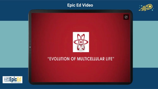 Bio B 3.8 P2 Evolution of Multicellular Life
