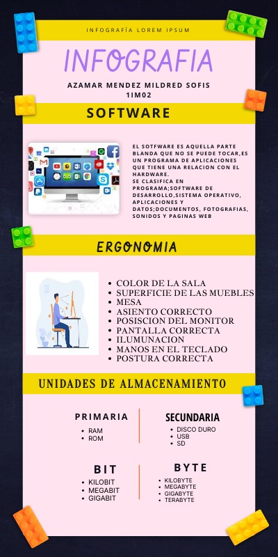 Infografía SOFTWARE