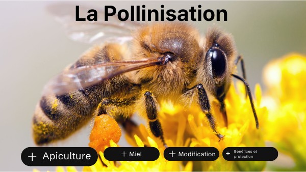 La pollinisation Caussé Mathias et Louka Gilibert