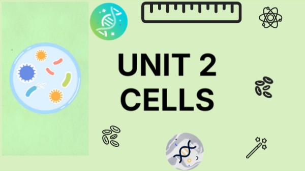 Practice 1 | Genially