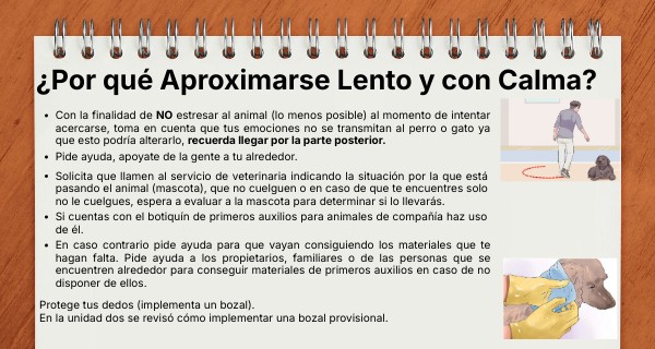 Porque Aproximarse lento y con calma?