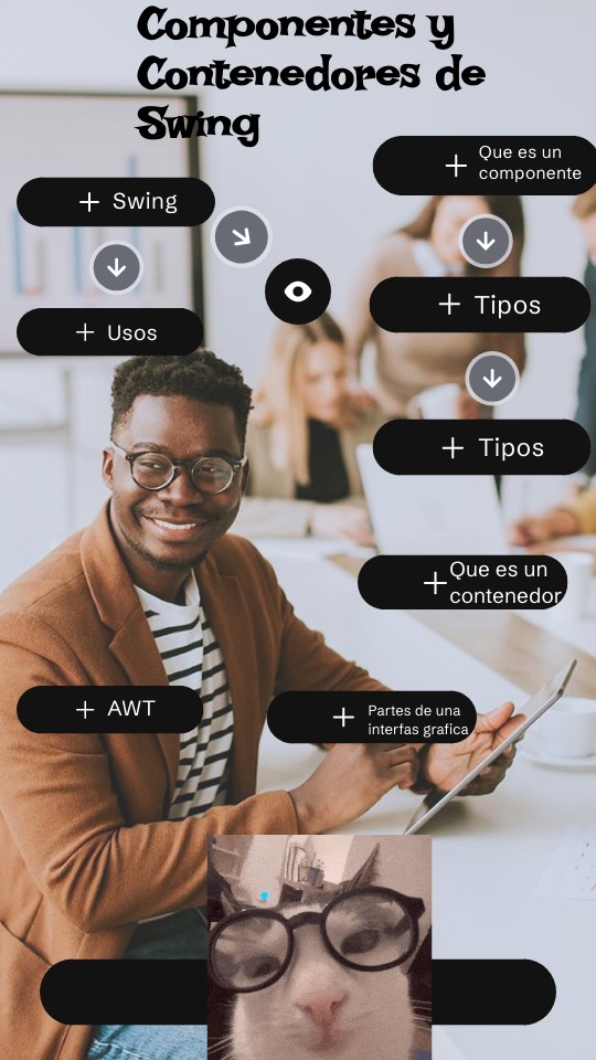 Imagen interactiva Componentes y Contenedores de Swing