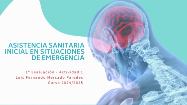 Actividad 1 - ASISE - Luis Fernando Mercado Paredes