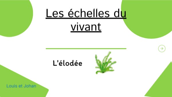 Les échelles du vivant SVT | Genially