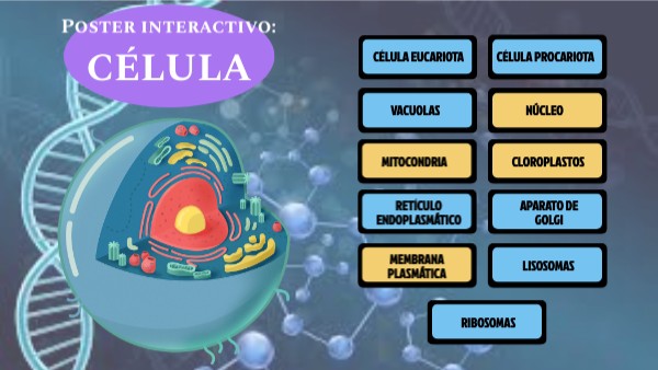 Póster interactivo célula