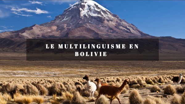 Multilinguisme bolivie