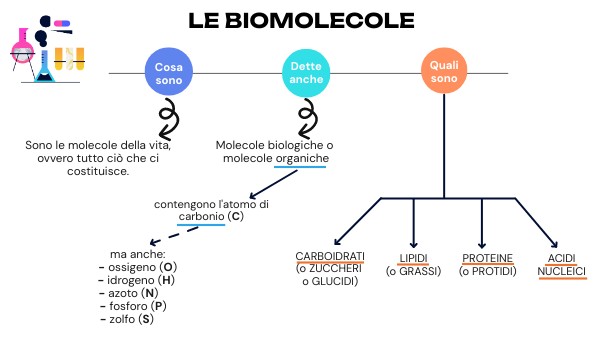 LE BIOMOLECOLE | Genially