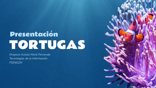 Presentación TORTUGAS | Genially