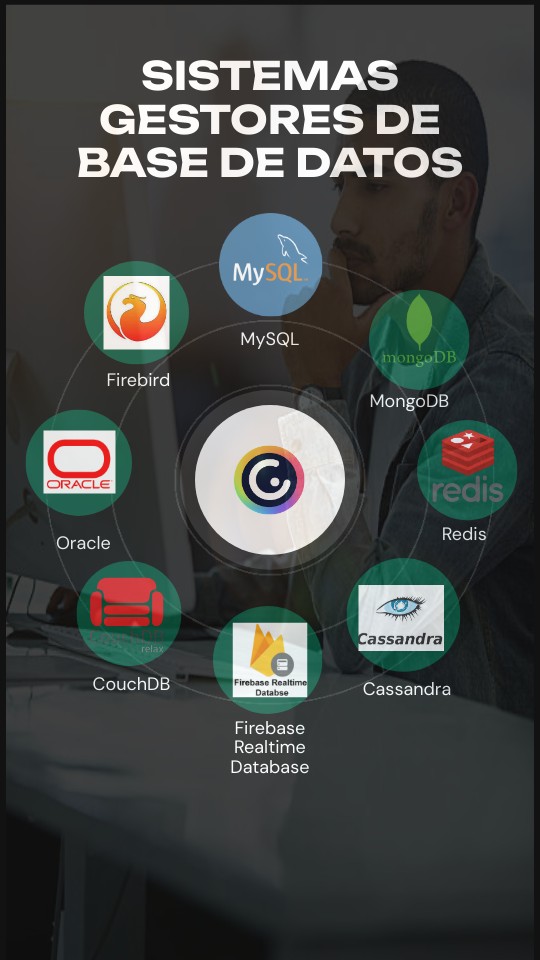 Infografía sistemas gestores de bases de datos