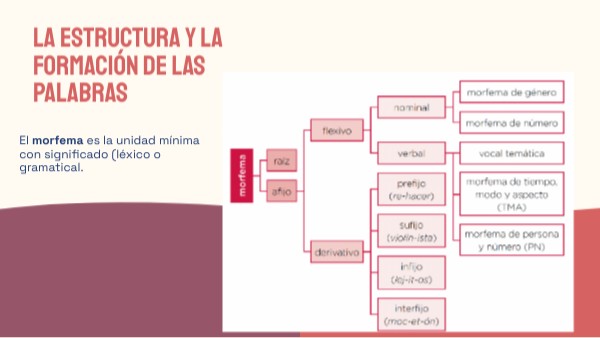 la estructura y la formación de las palabras | Genially