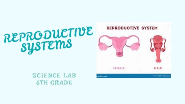 REPRODUCTIVE SYSTEMS | Genially