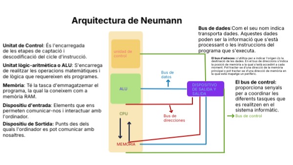 Daryl David tarea SOM