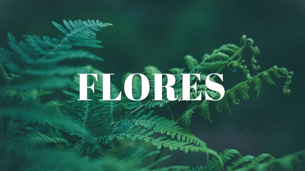 Presentación flores | Genially