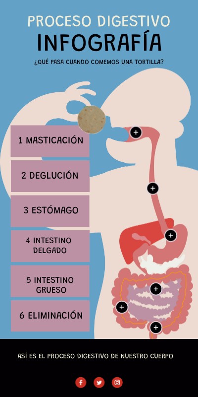 INFO VERTICAL DIGESTIVO
