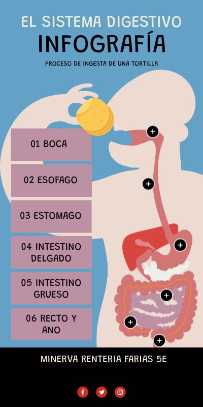INFOGRAFIA SISTEMA DIGESTIVO | Genially