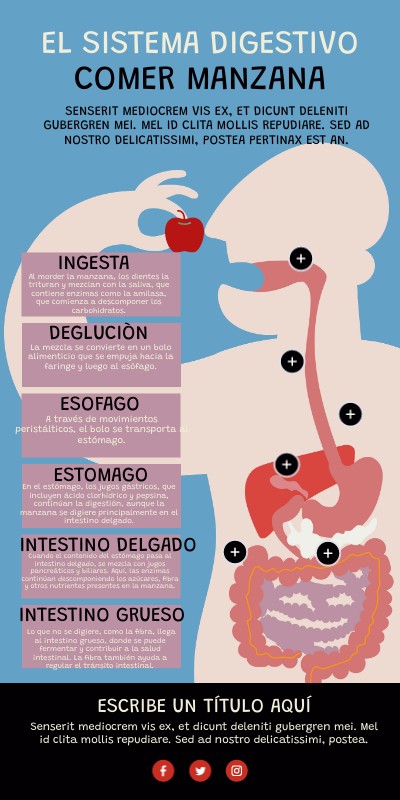 infografia sistema digestivo 5E | Genially