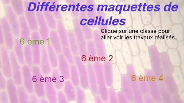 Travaux sur la cellule