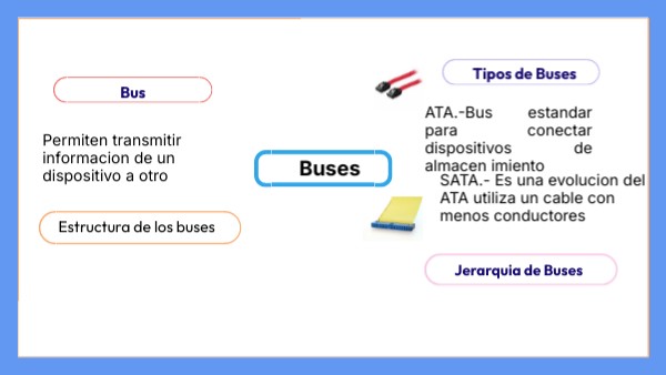 Buses | Genially