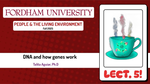 Lect. 5 DNA and how genes work | Genially