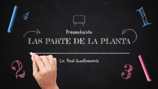 Las partes de la planta | Genially
