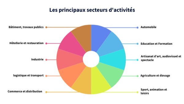 Copie - Diagramme circulaire sectoriel