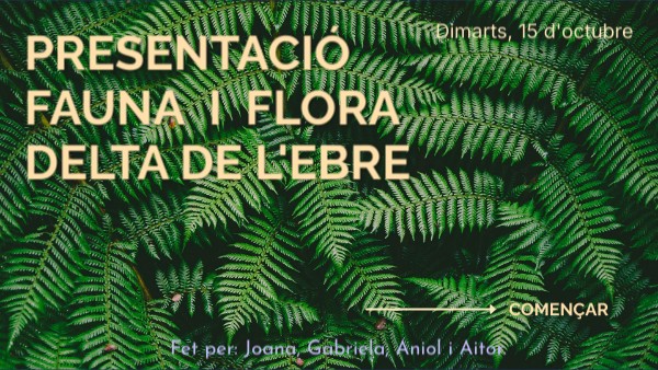 FAUNA FLORA DELTA DE L'EBRE | Genially