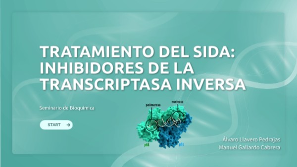 Tratamiento del sida: Inhibidores de la transcriptasa inversa del VIH