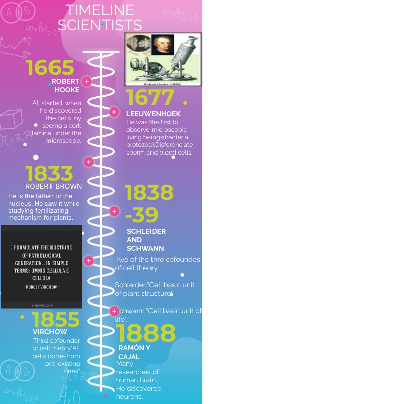 TIMELINE BIOLOGY VIBRANT